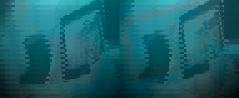 돌비 디지털 플러스 - Dolby Professional