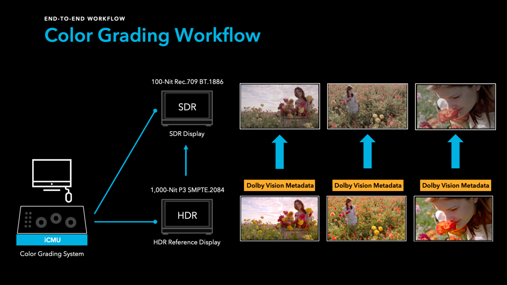 Dolby Vision for Content Creators - Dolby Professional